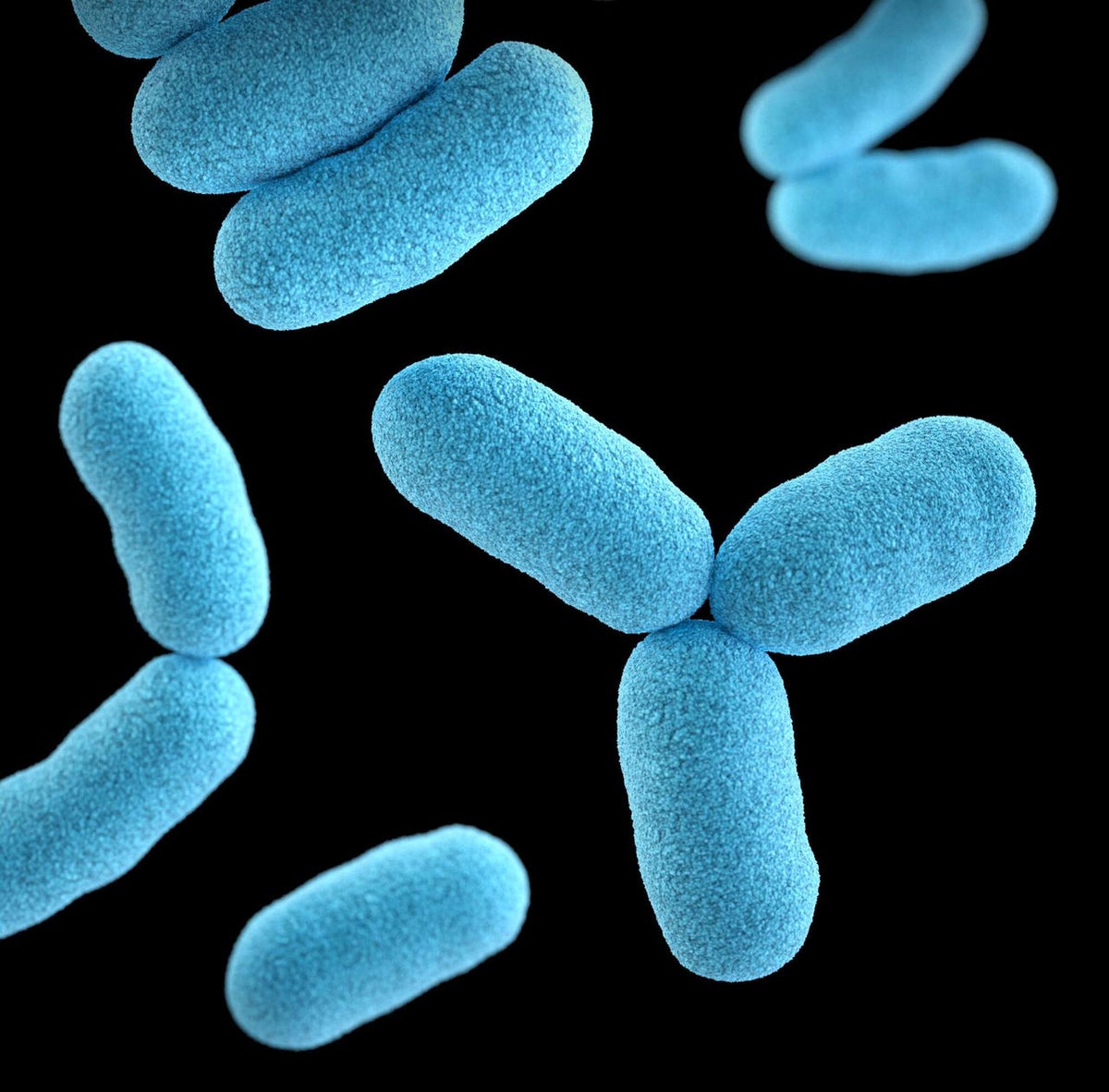 FDA Approved biotech manufacturing | Dompé Global