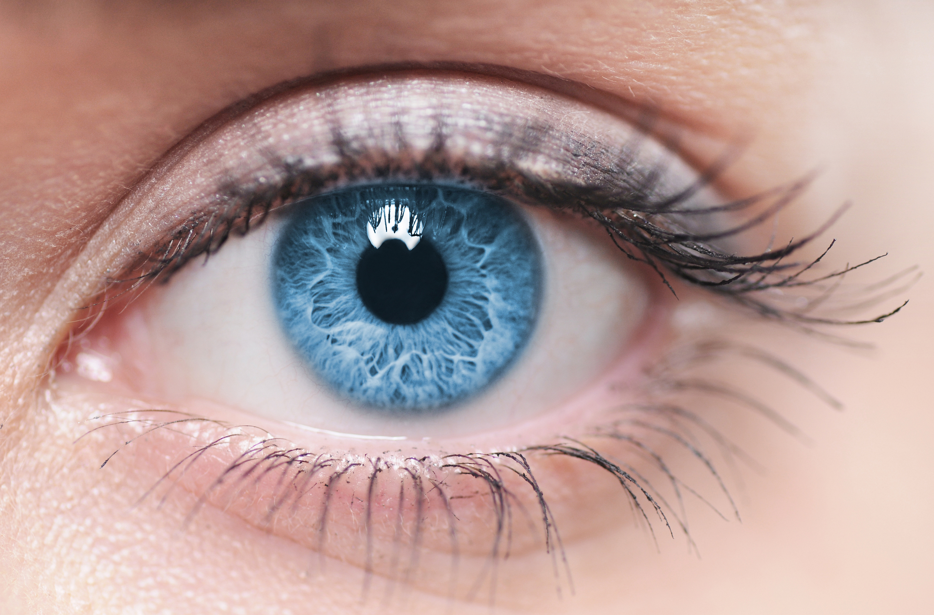 Oxervate for Neurotrophic Keratitis NORD Award | Dompé U.S.